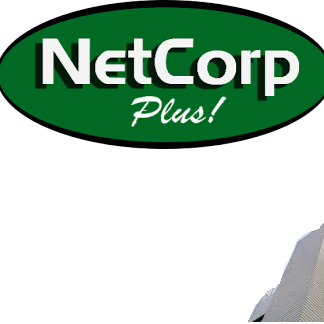 Network Plus Merchandising and Promo Services Corp Careers in ...