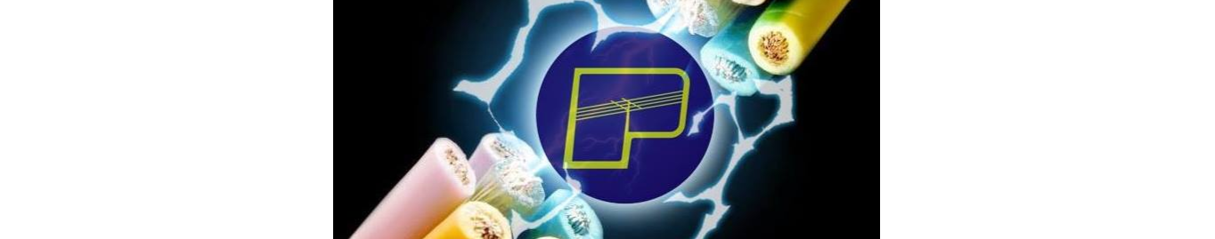 Working at PHILFLEX | Bossjob