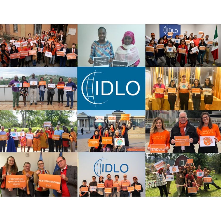 Working at International Development Law Organization (IDLO) | Bossjob