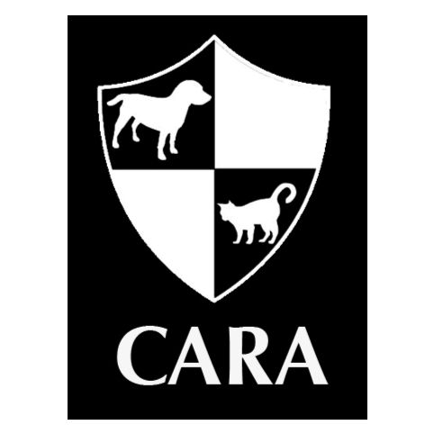 Working at CARA Welfare Philippines | Bossjob