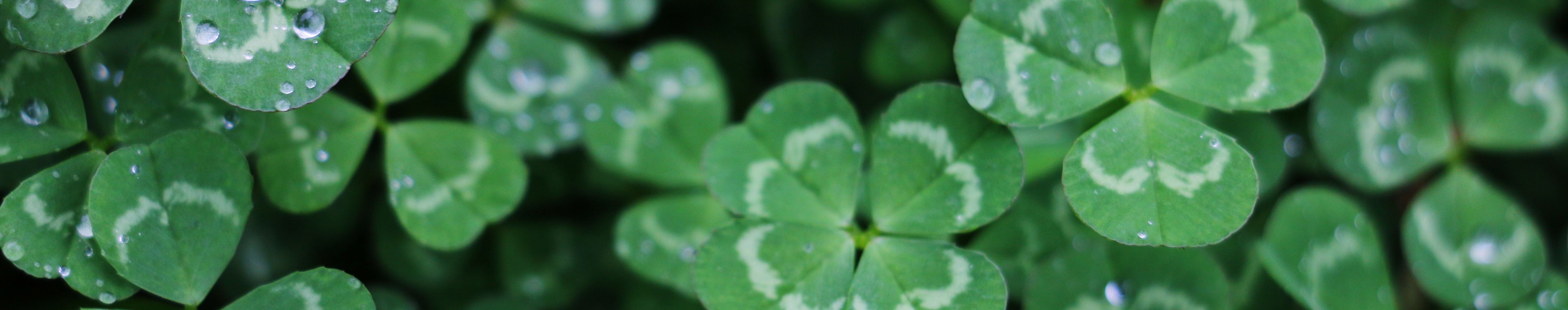 Working at Superior BT. Inc.| Bossjob