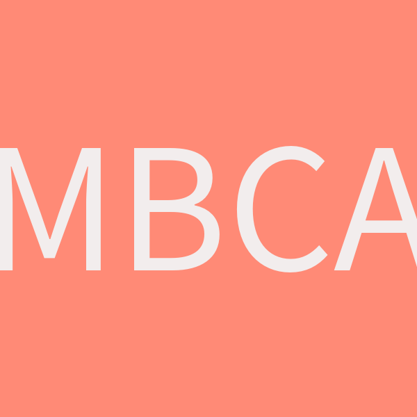 BAP CAREON AUTO WORKS Welder